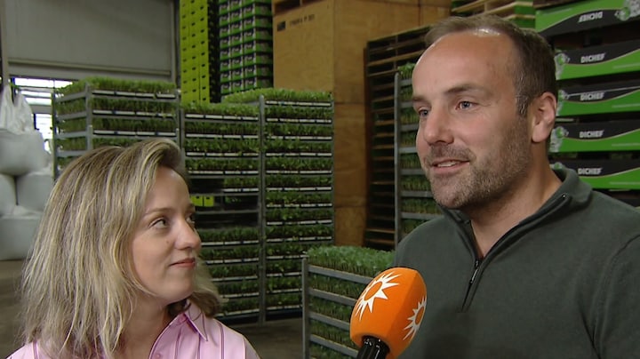 Gaan Roel en Simone uit Boer zoekt vrouw samenwonen? 'Zie het positief in'