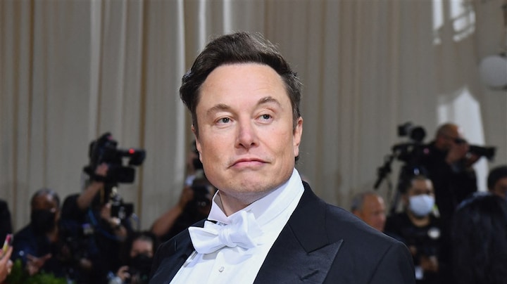 Elon Musk met komst van tweeling vader van negen kinderen geworden