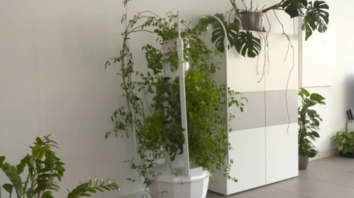 Vertical farming: zo maak je een moestuin in huis