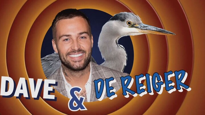 Dave geeft antwoord: is de beruchte reiger eindelijk gevlogen?