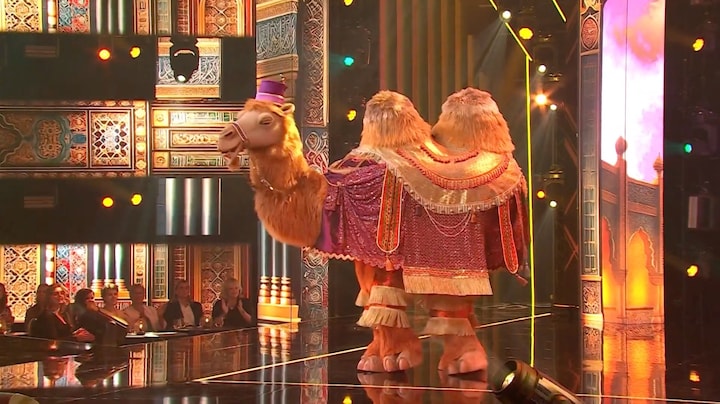 Niet één maar twee masked singers maken het podium onveilig in de Kameel