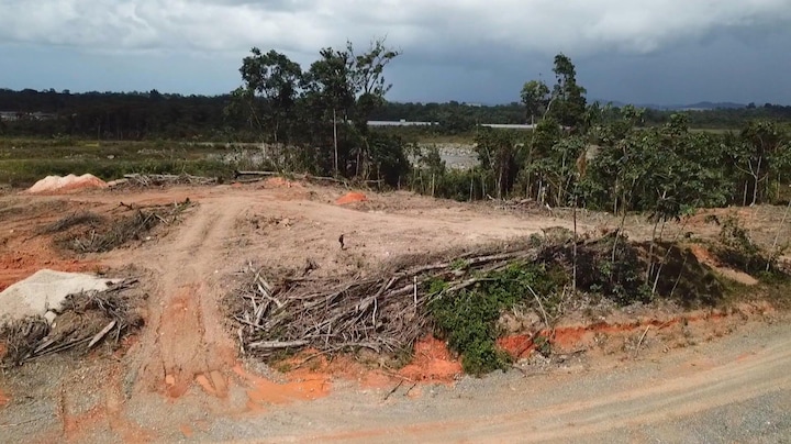 Goudwinning verwoest Surinaamse natuur: 'Over paar jaar geen bos meer'