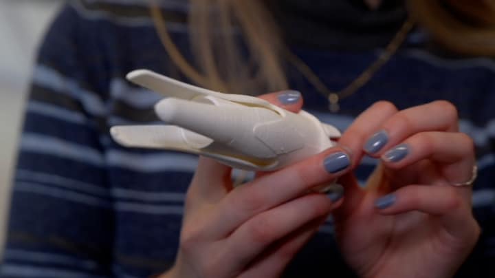 Na 180 jaar alternatief voor 'onprettige' eendenbek: 'Ziet er ...