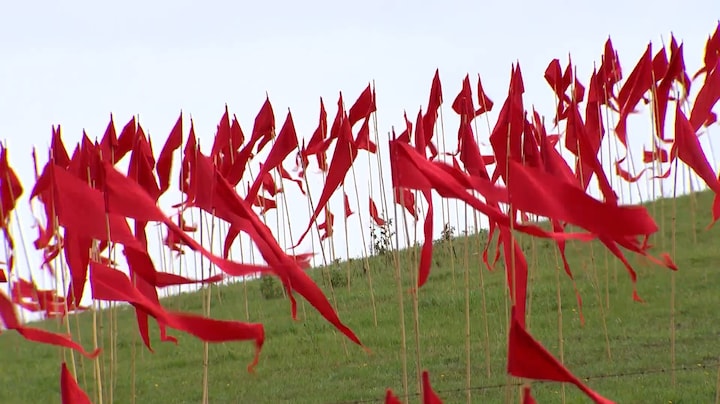 15.000 rode vlaggen op deze bijzondere plek in Nederland