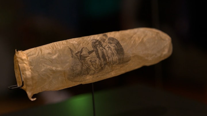 EditieNL | RTL Nieuws & Entertainment